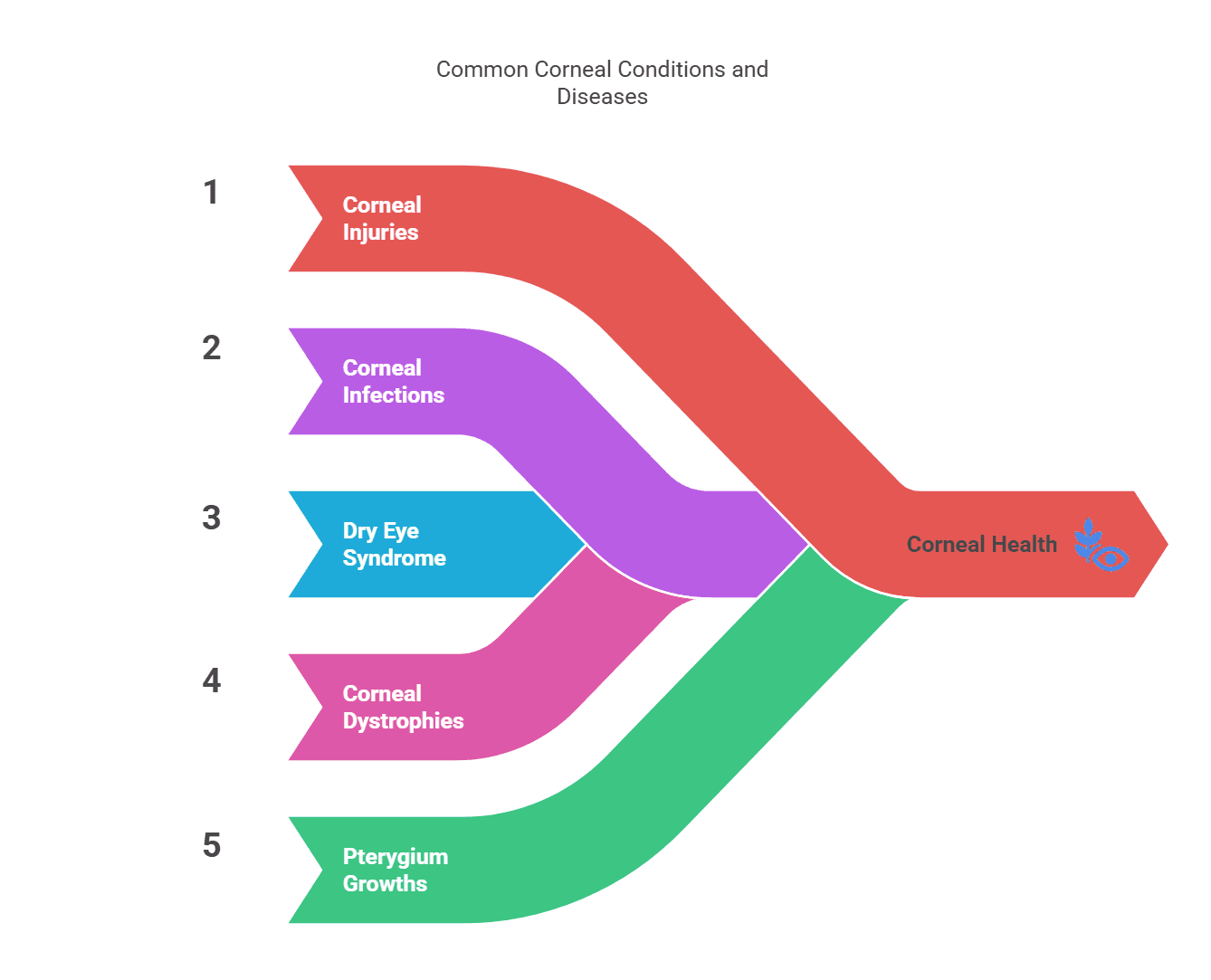 Corneal Health Guide | Conditions, Treatments & Care Tips